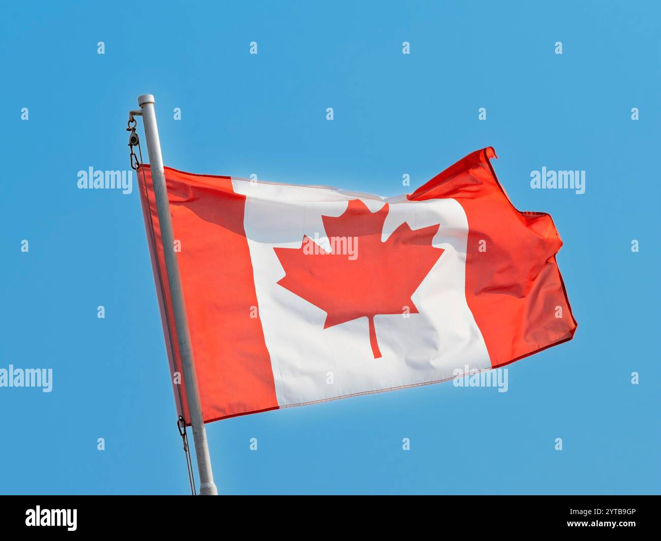 Toronto Canada / A Canadian National Flag flutters in the breeze atop a ...