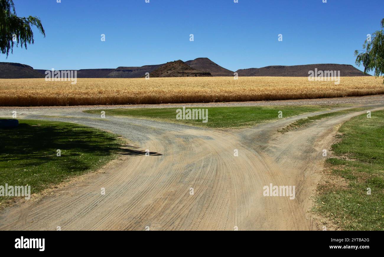 Fork in the road Stock Photo - Alamy