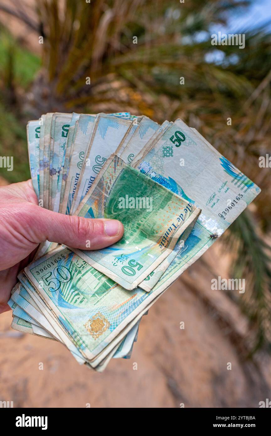 A hand with a huge amount of Tunisian cash in front of an oasis Stock ...