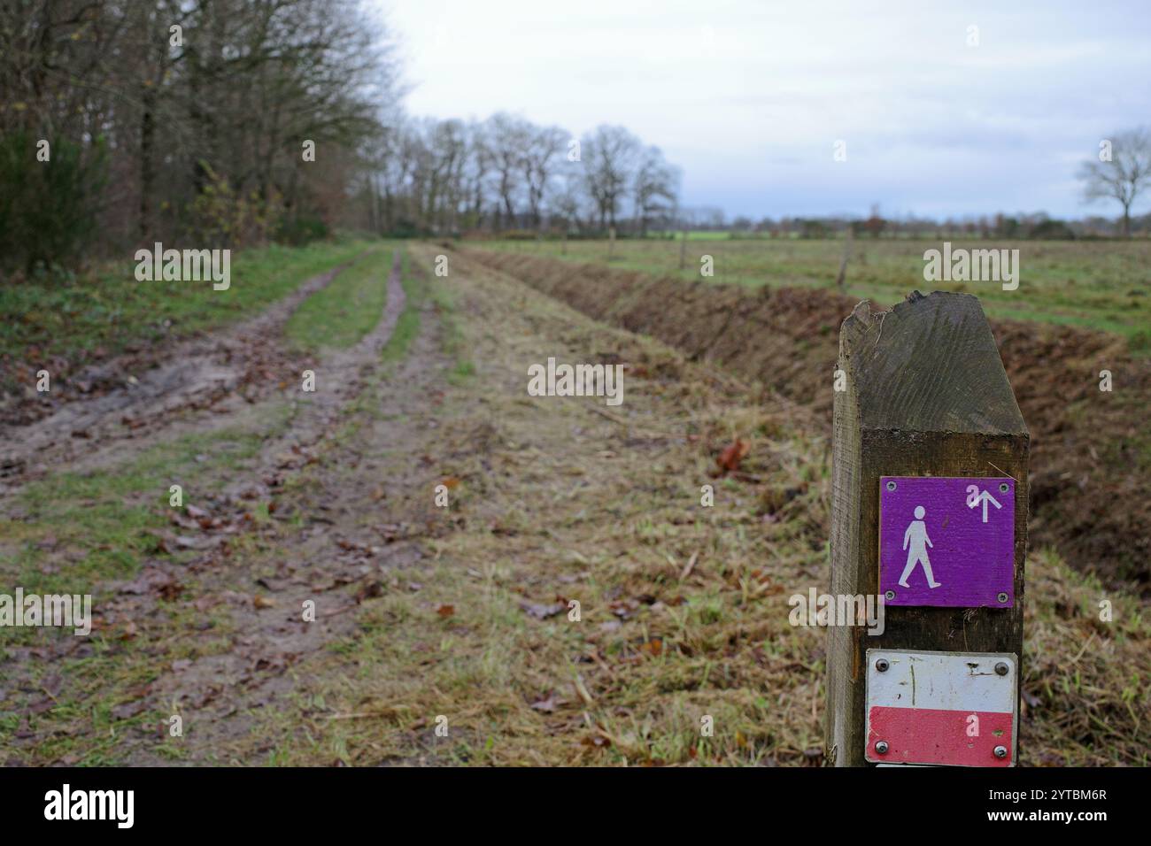 Part of drentsche aa hi-res stock photography and images - Alamy