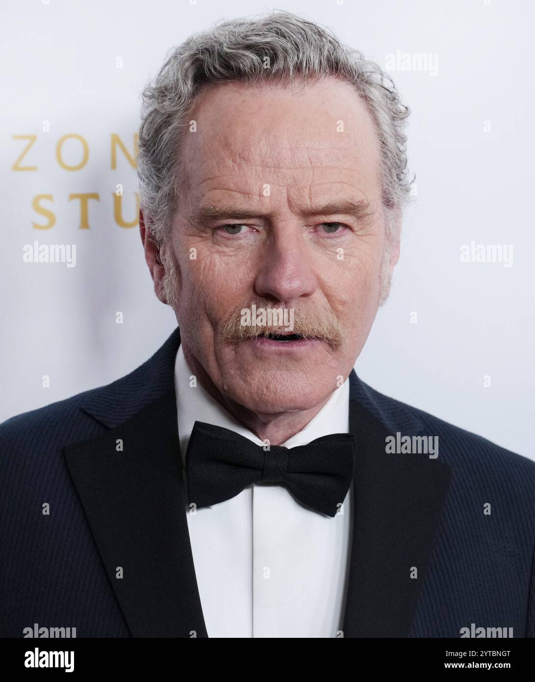 Los Angeles, USA. 05th Dec, 2024. Bryan Cranston arrives at the 38th ...