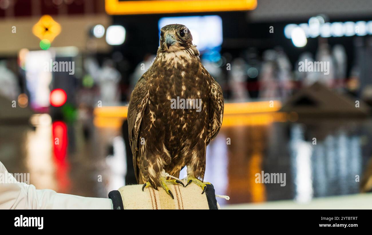 A majestic falcon captured in a striking pose, showcasing its sharp ...