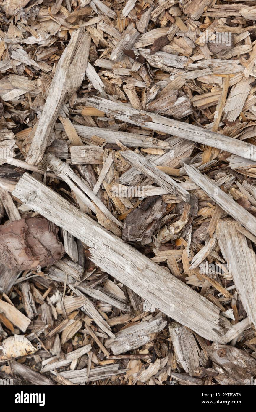 A beautiful wood chip texture on the ground. Outdoors textures of ...
