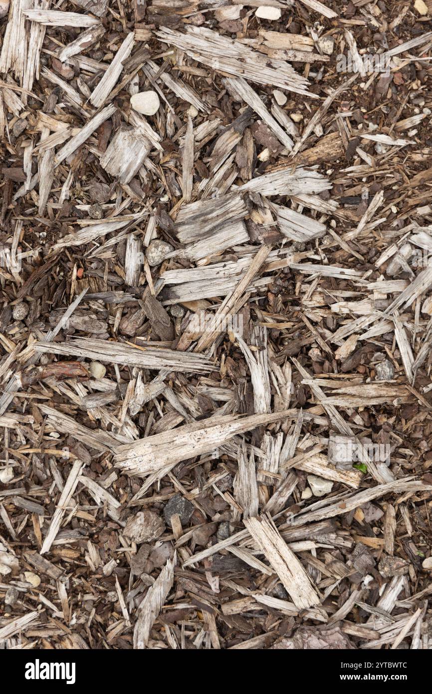 A beautiful wood chip texture on the ground. Outdoors textures of ...