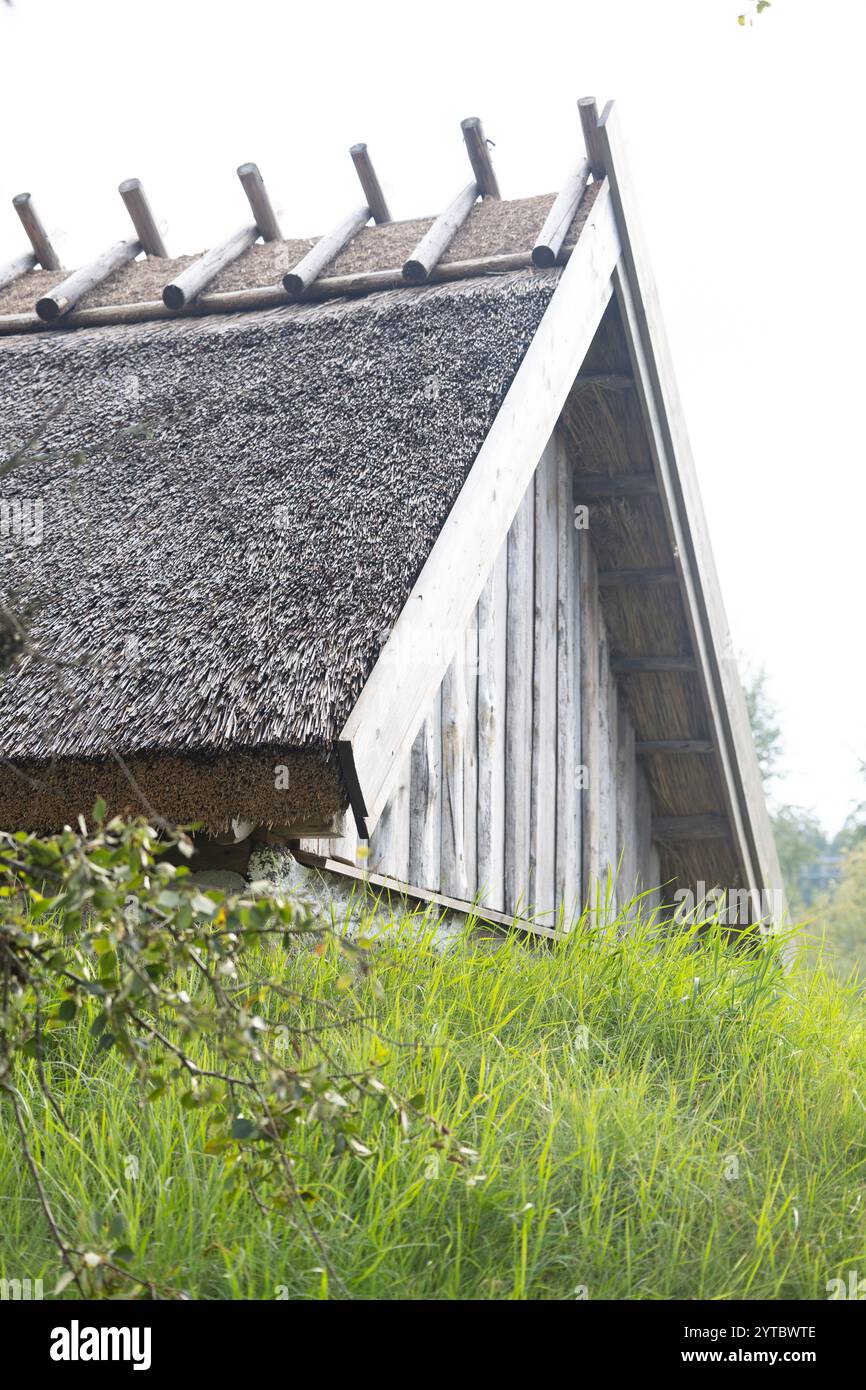 An old, wooden log building in countryside of Latvia, Europe. Wooden ...