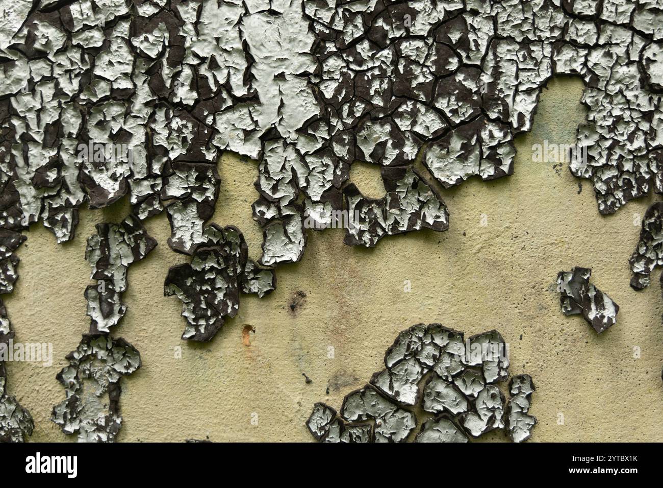 An old, pealed paint on the wall of abandoned building. Cracked paint ...