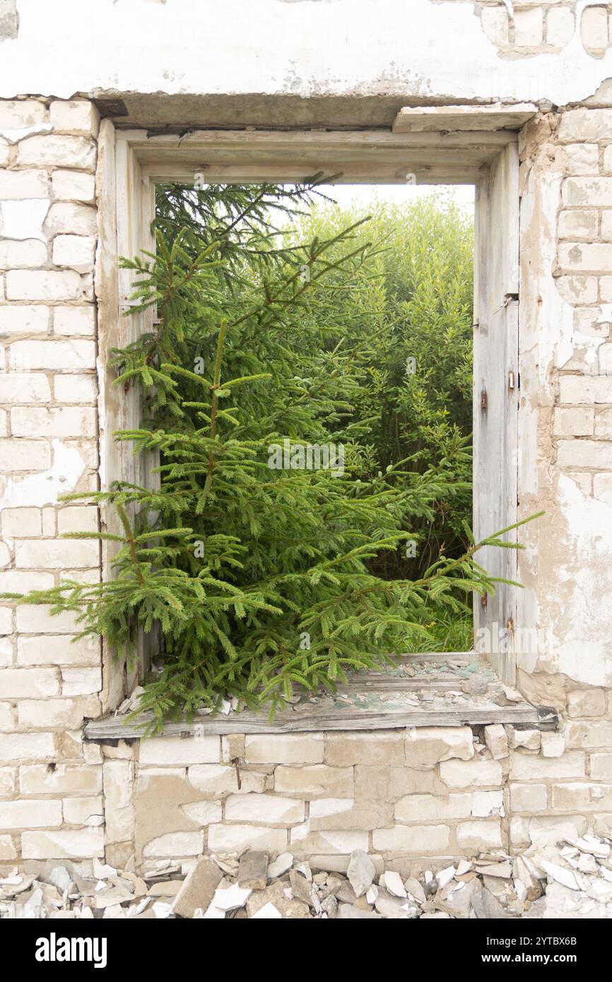 A broken, empty window of building ruins from Soviet times. Collapsed ...