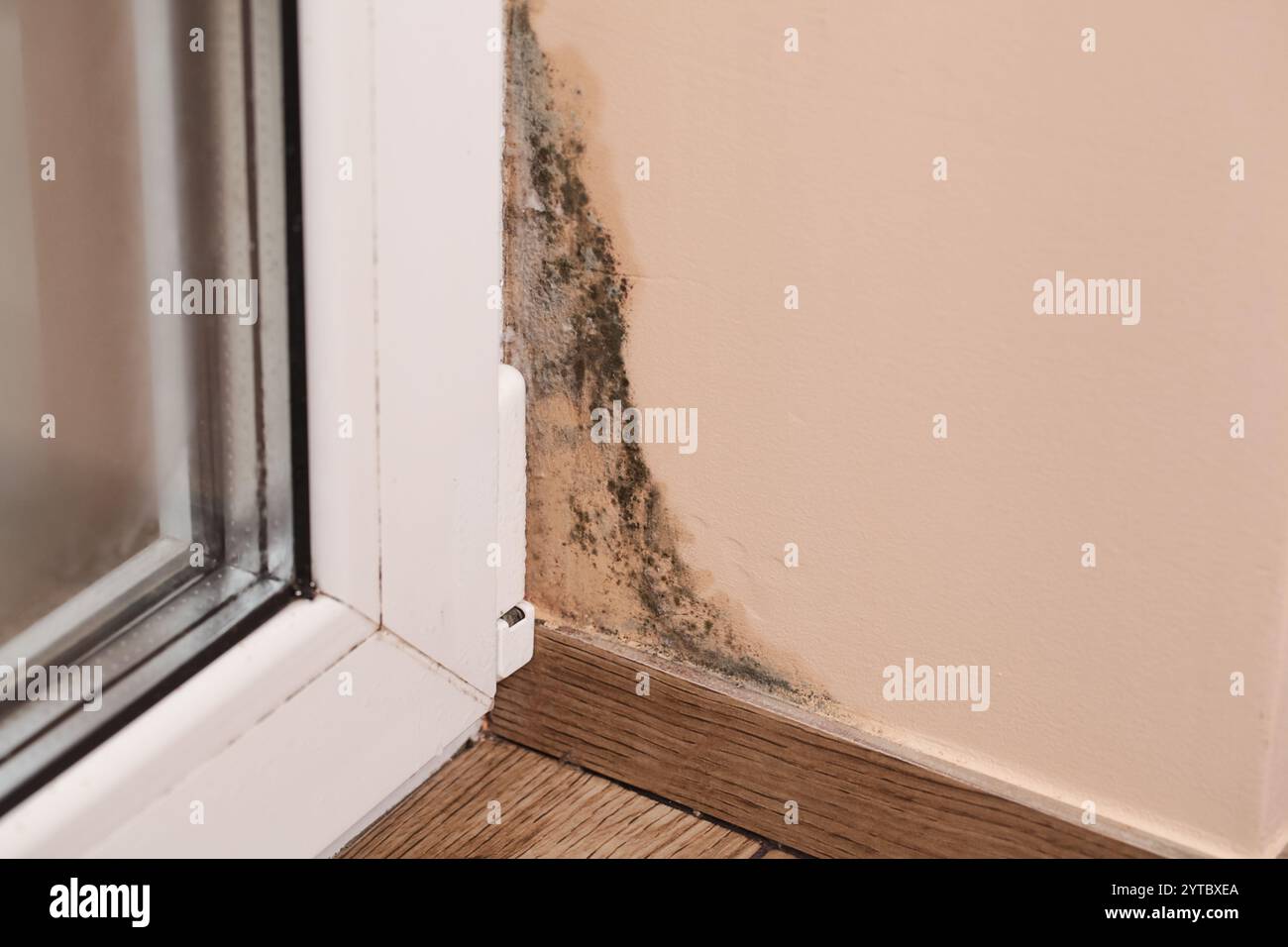 Problems with Ventilation. Stains of toxic Mold, Fungal Bacteria on ...