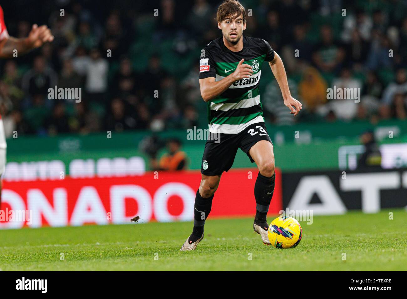 Daniel Braganca during Liga Portugal game between teams of Sporting CP ...