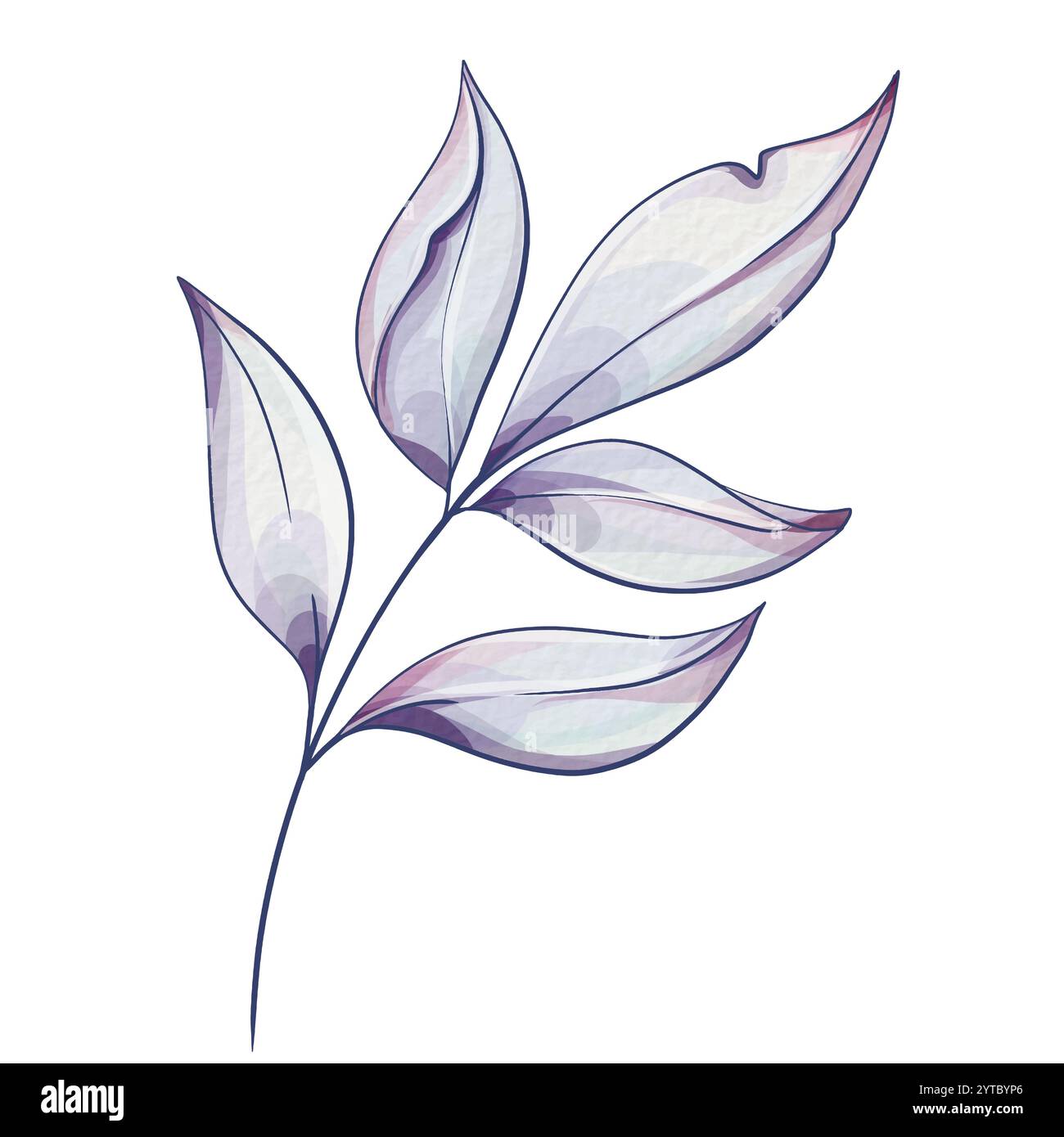 This exquisite botanical illustration showcases an array of stylized ...