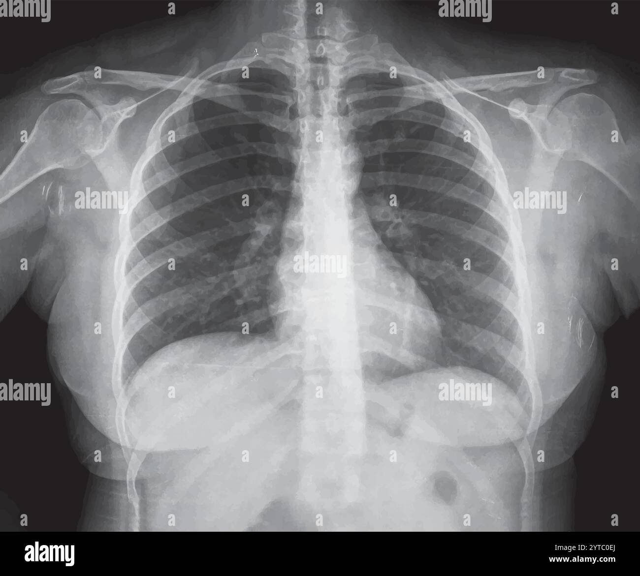 Medical Research and Teaching, vector illustration Stock Vector Image ...