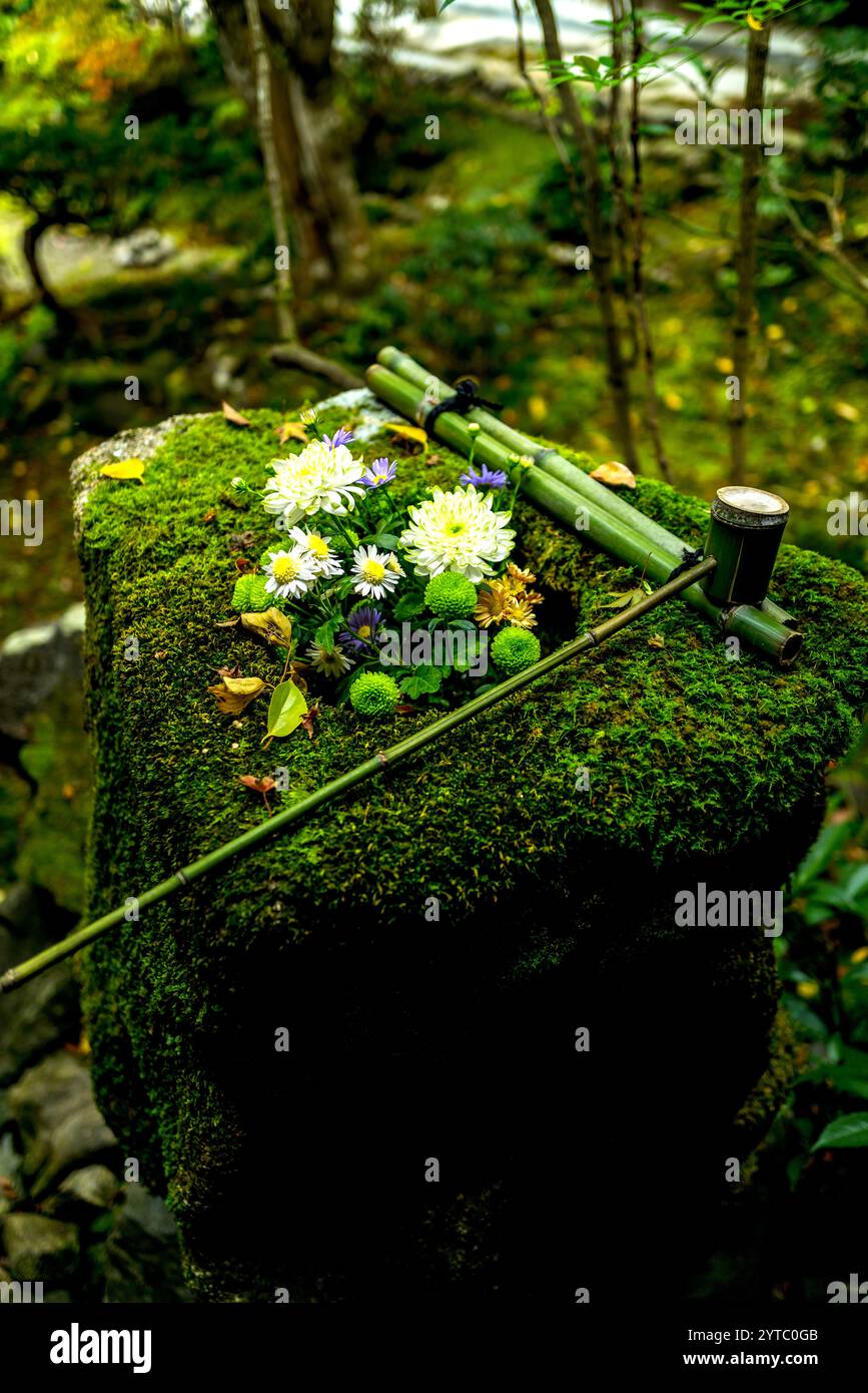 Chōzubachi water purification fountain at a Japanese temple in Kyoto ...