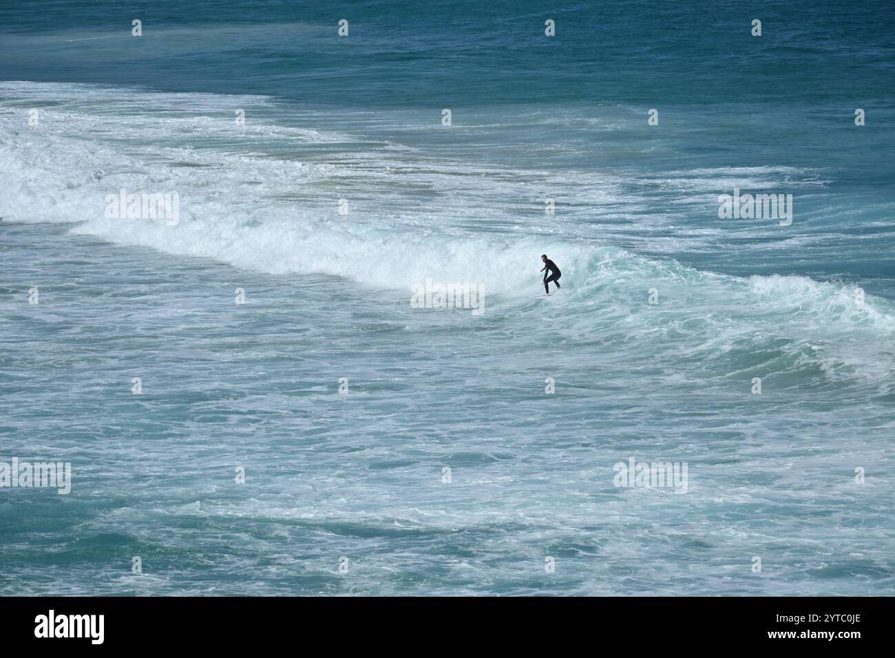 Man surfing in Bondi beach, one of the most popular spots for surfing ...