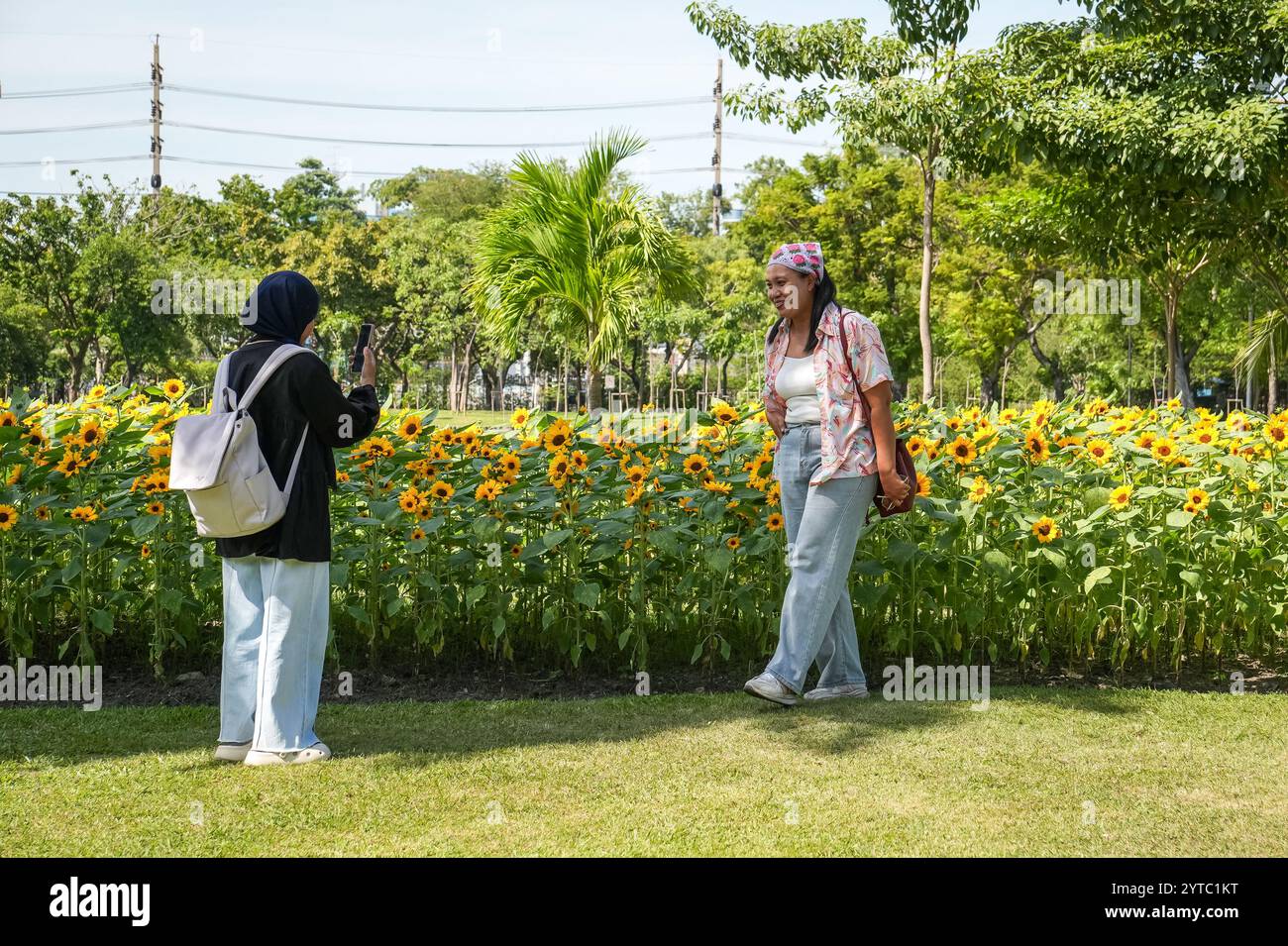 Bangkok, Thailand. 06th Dec, 2024. A woman is seen checking a screen ...