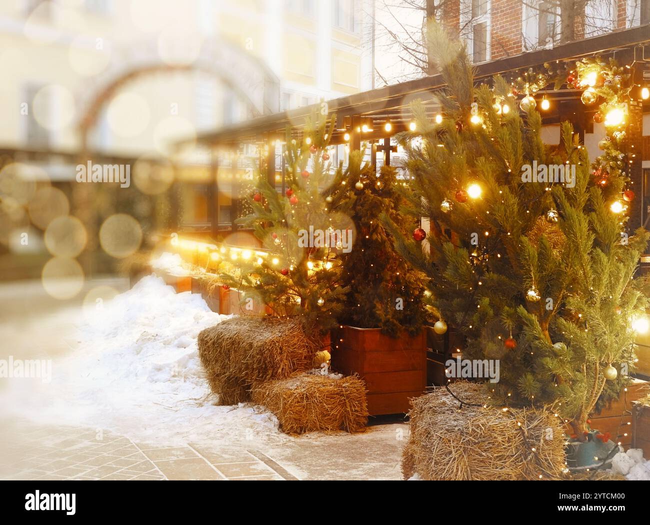 Christmas tree is surrounded by hay bales and lights. The scene is ...