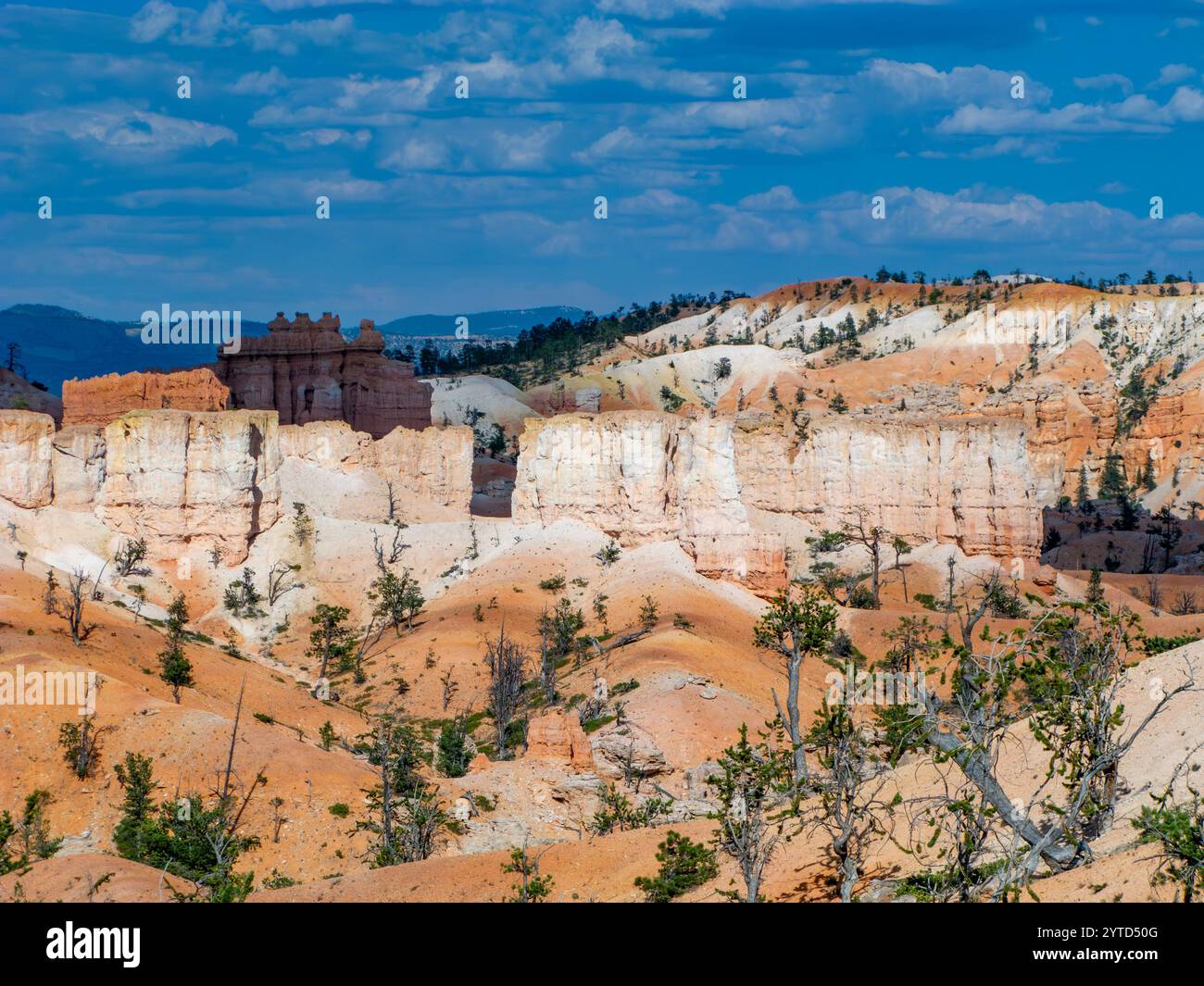 beautiful landscape in Bryce Canyon with magnificent Stone formation ...