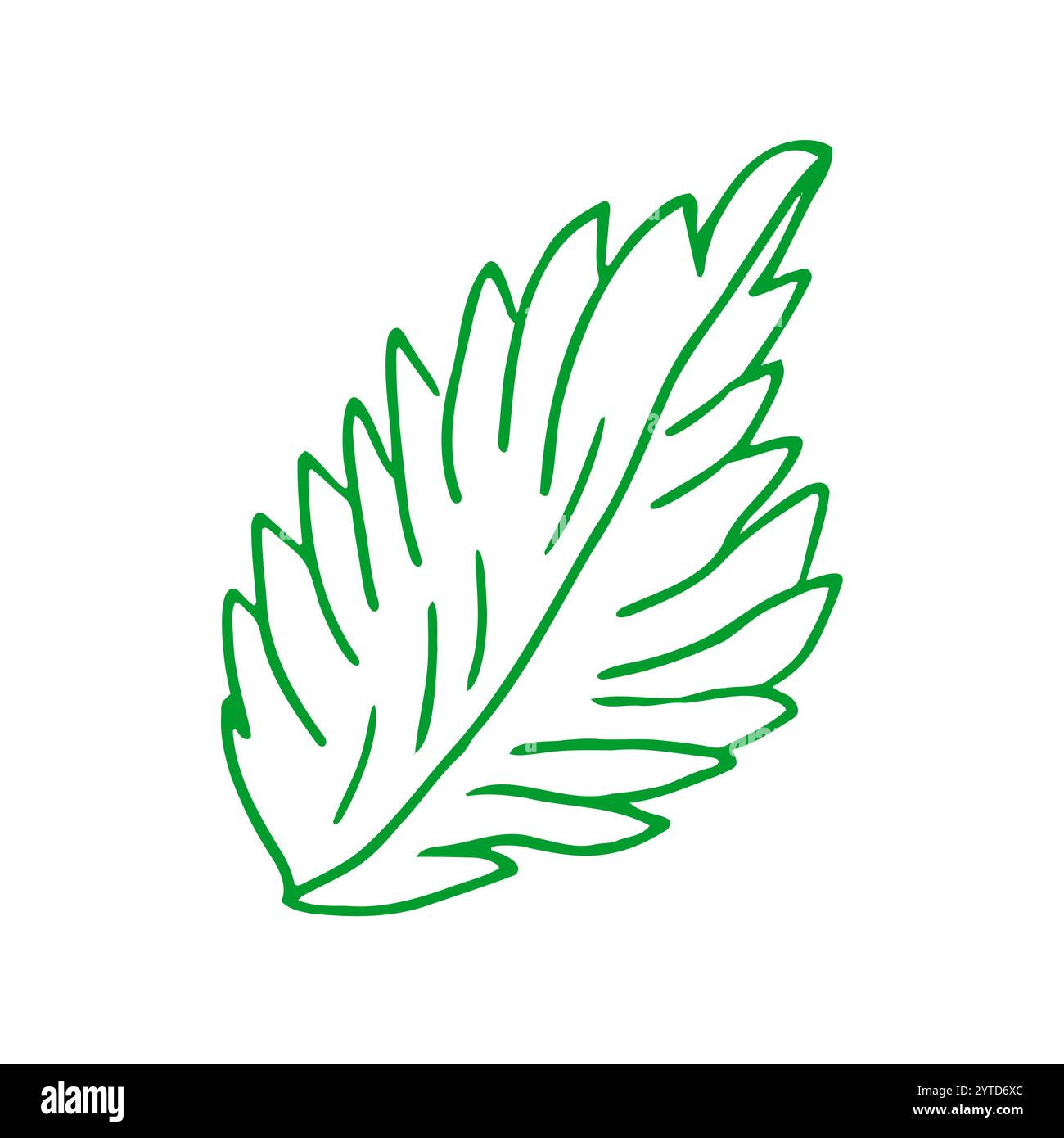 Leaf curve symbol design Stock Vector Images - Alamy