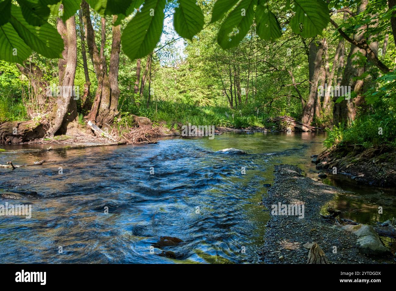 Die selke im harz hi-res stock photography and images - Alamy