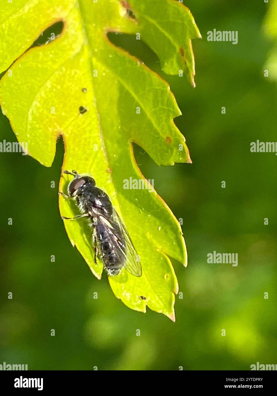 Pitheads hi-res stock photography and images - Alamy