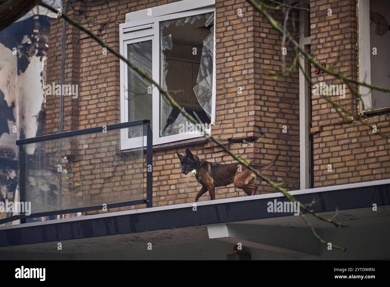 A search and rescue dogs walks by a site of an explosion which ...