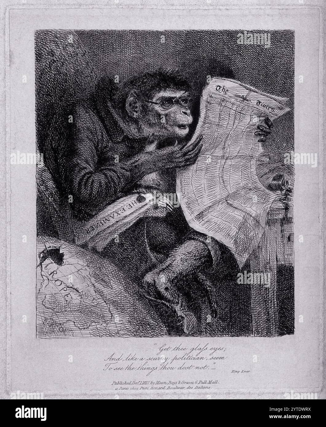 Monkey reading newspaper hi-res stock photography and images - Alamy