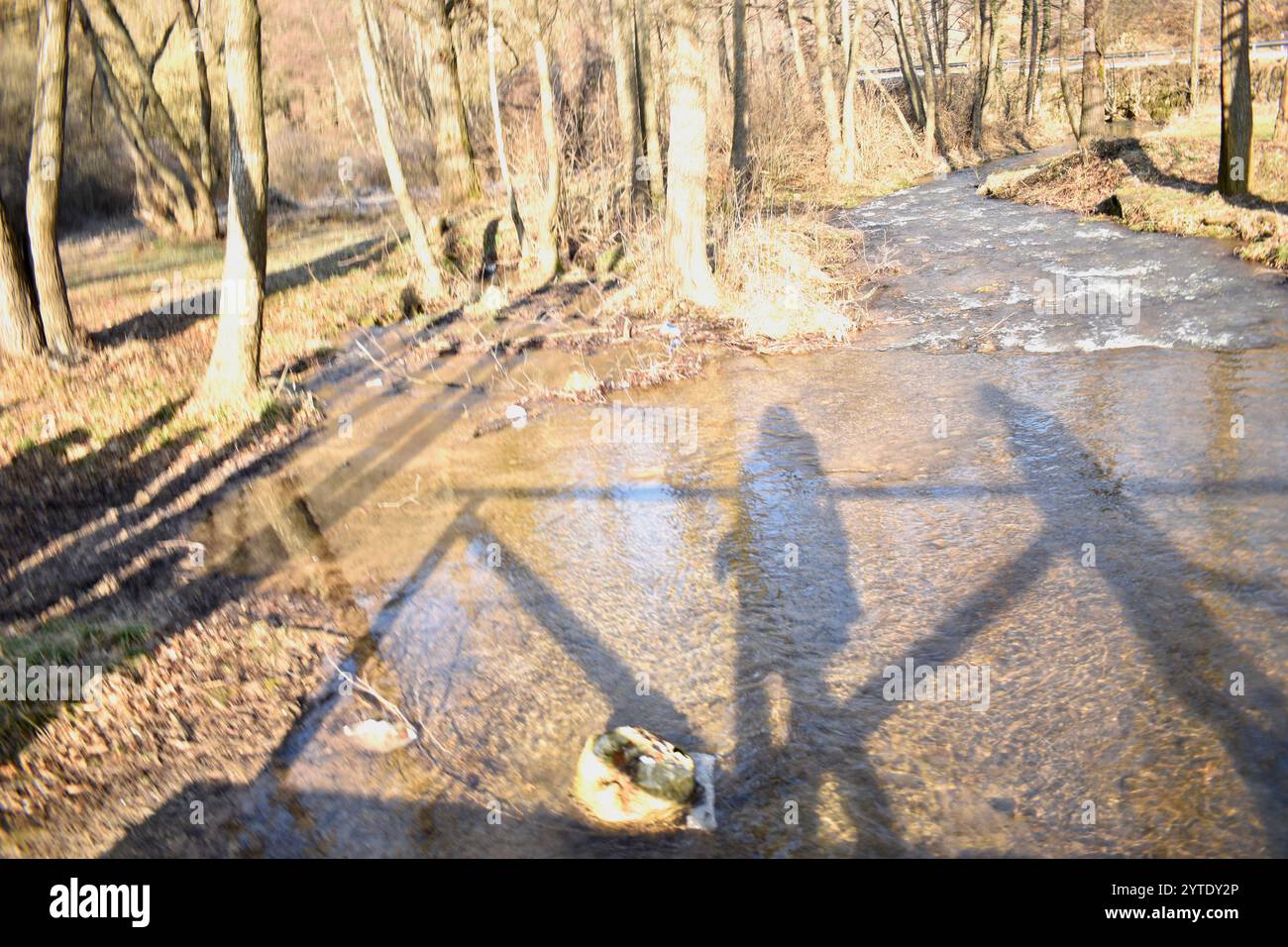 Sunny day in the forest and two human shadows from a bridge in the ...