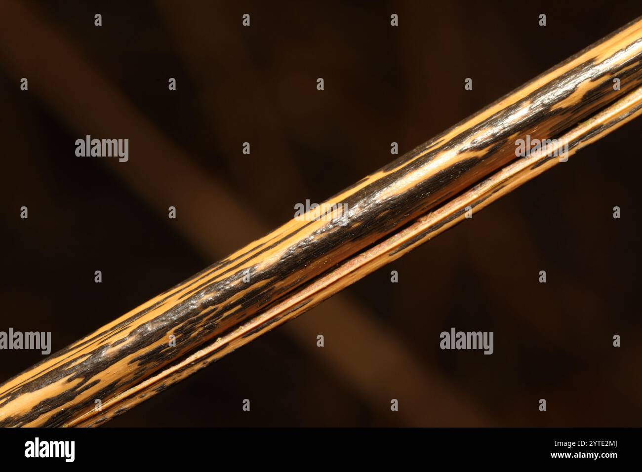Bracken map hi-res stock photography and images - Alamy