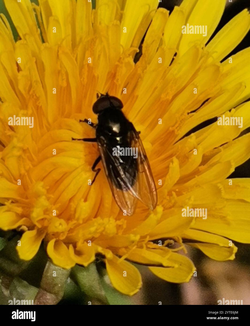 Pitheads hi-res stock photography and images - Alamy