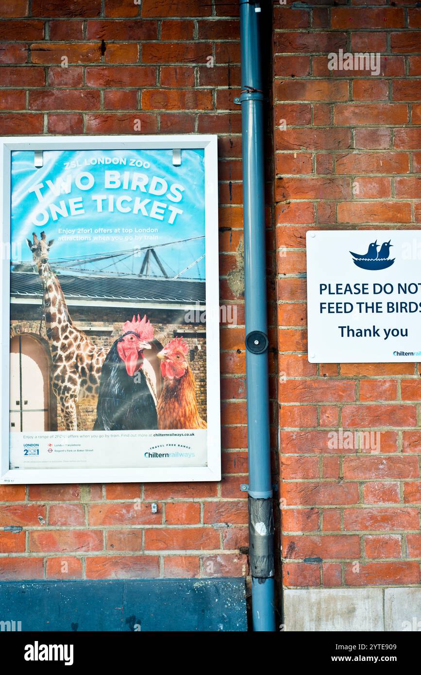 Two birds railway ticket advert hi-res stock photography and images - Alamy