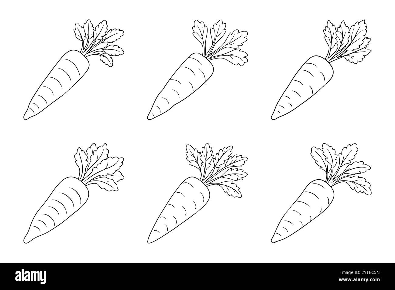 Carrot outline hi-res stock photography and images - Alamy