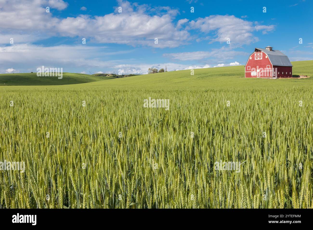 Washington state farming hi-res stock photography and images - Alamy
