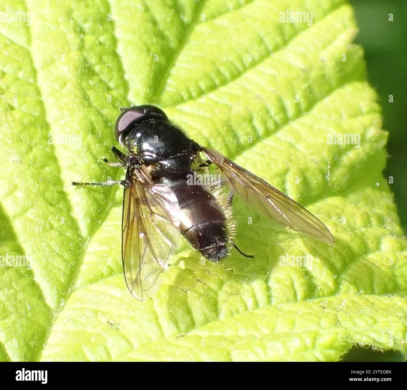 Pitheads hi-res stock photography and images - Alamy