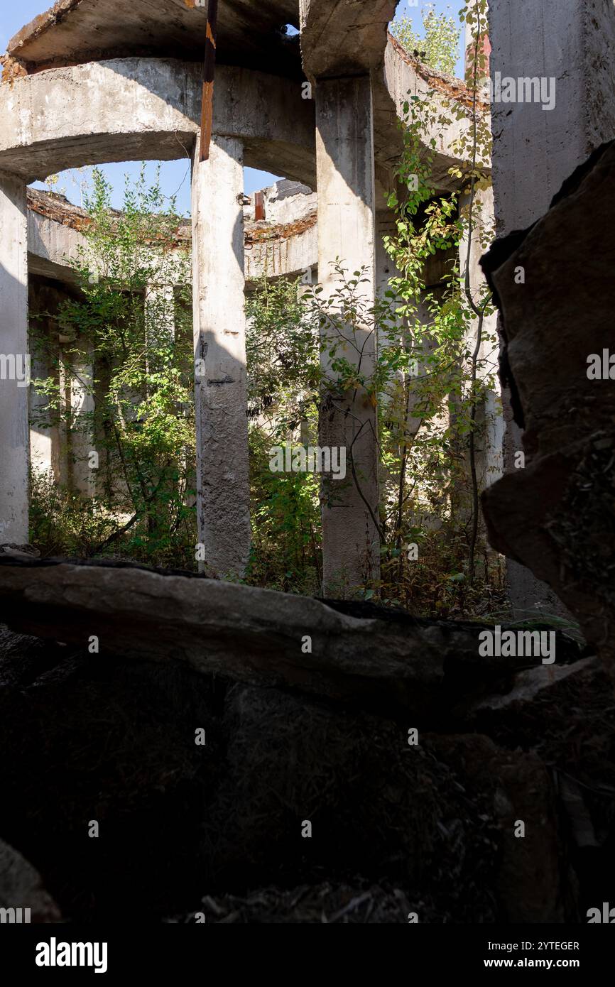 Forgotten Sanctuary: Nature's Reclamation of Abandoned Concrete ...