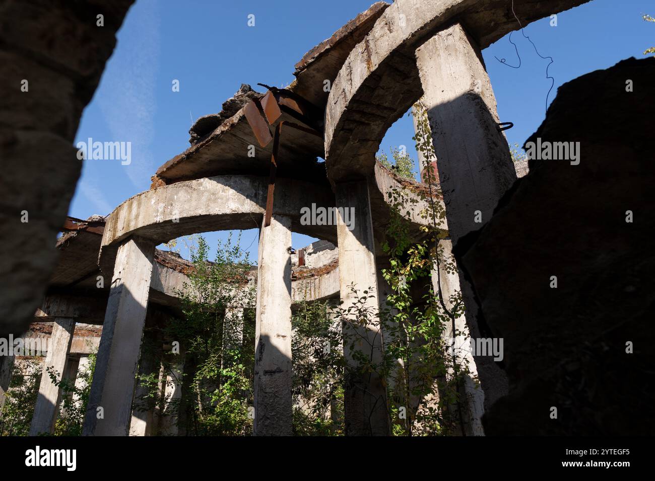 Abandoned Structures Under a Blue Sky: Nature Reclaims Ruins of ...