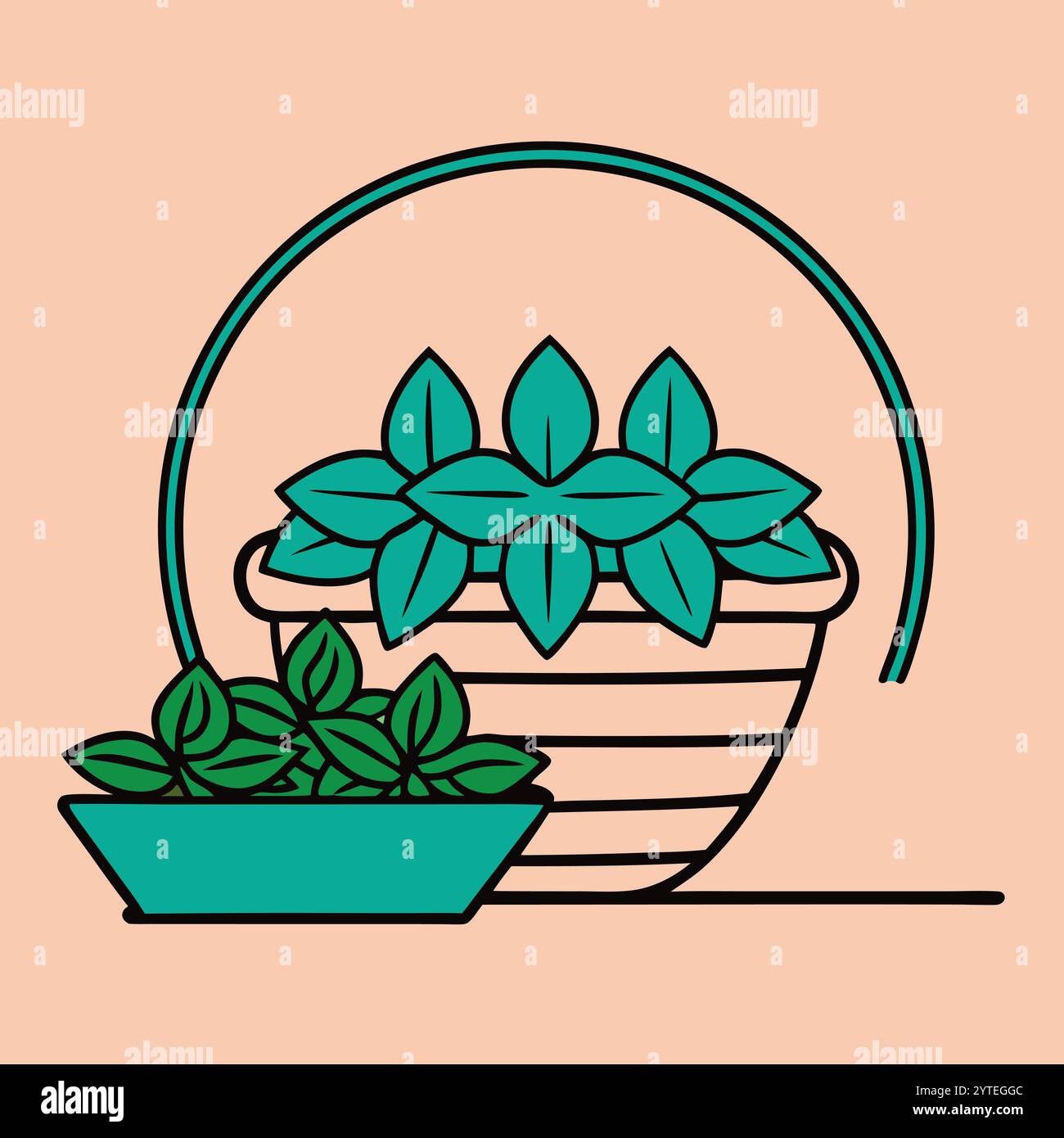 Basil Leaves in Basket with Small Bowl of Dried Basil Vector ...