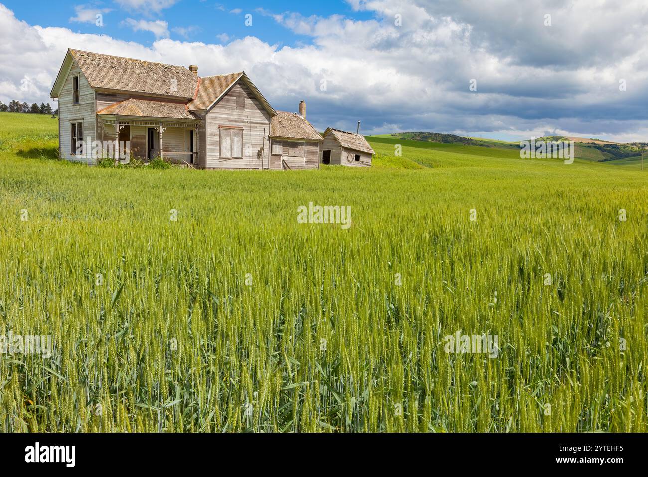 Abandoned House, Palouse, Washington State, USA Stock Photo - Alamy