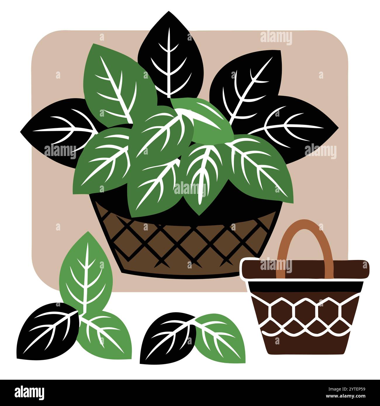 Basil Leaves in Basket with Small Bowl of Dried Basil Vector ...