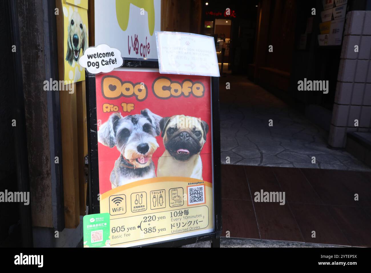 Dog Cafe on Komachi Street, Kamakura, Japan Stock Photo - Alamy