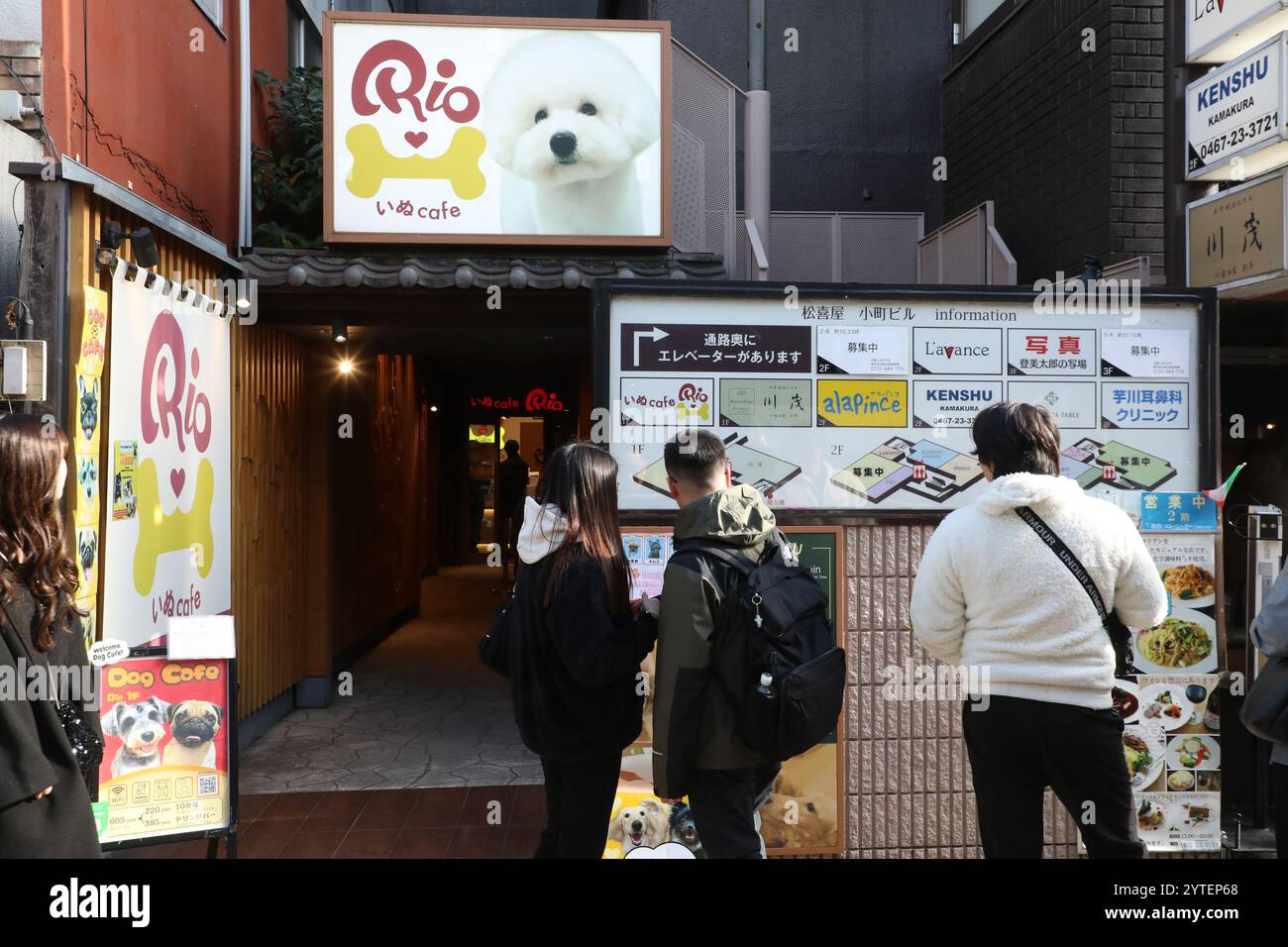 Dog Cafe on Komachi Street, Kamakura, Japan Stock Photo - Alamy