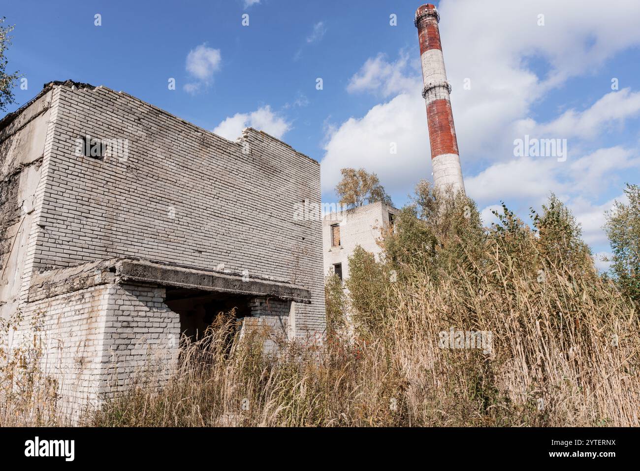 Overgrowth on building hi-res stock photography and images - Alamy
