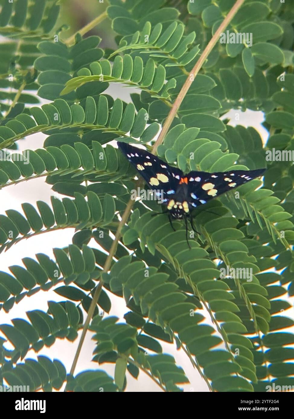 Episteme hi-res stock photography and images - Alamy