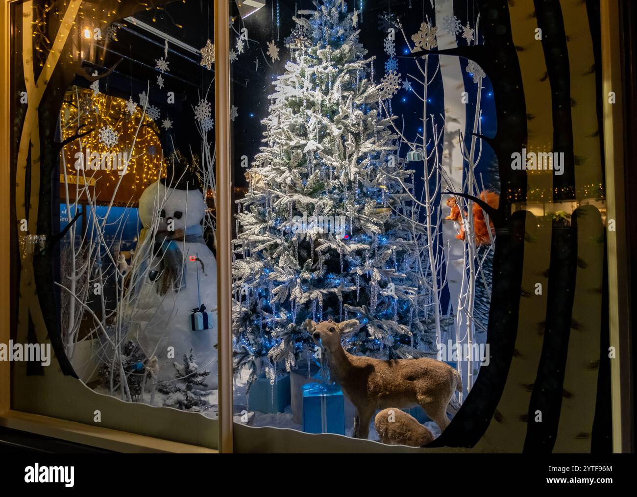 Holt, Norfolk, UK – December 06 2024. Festive Christmas window display ...