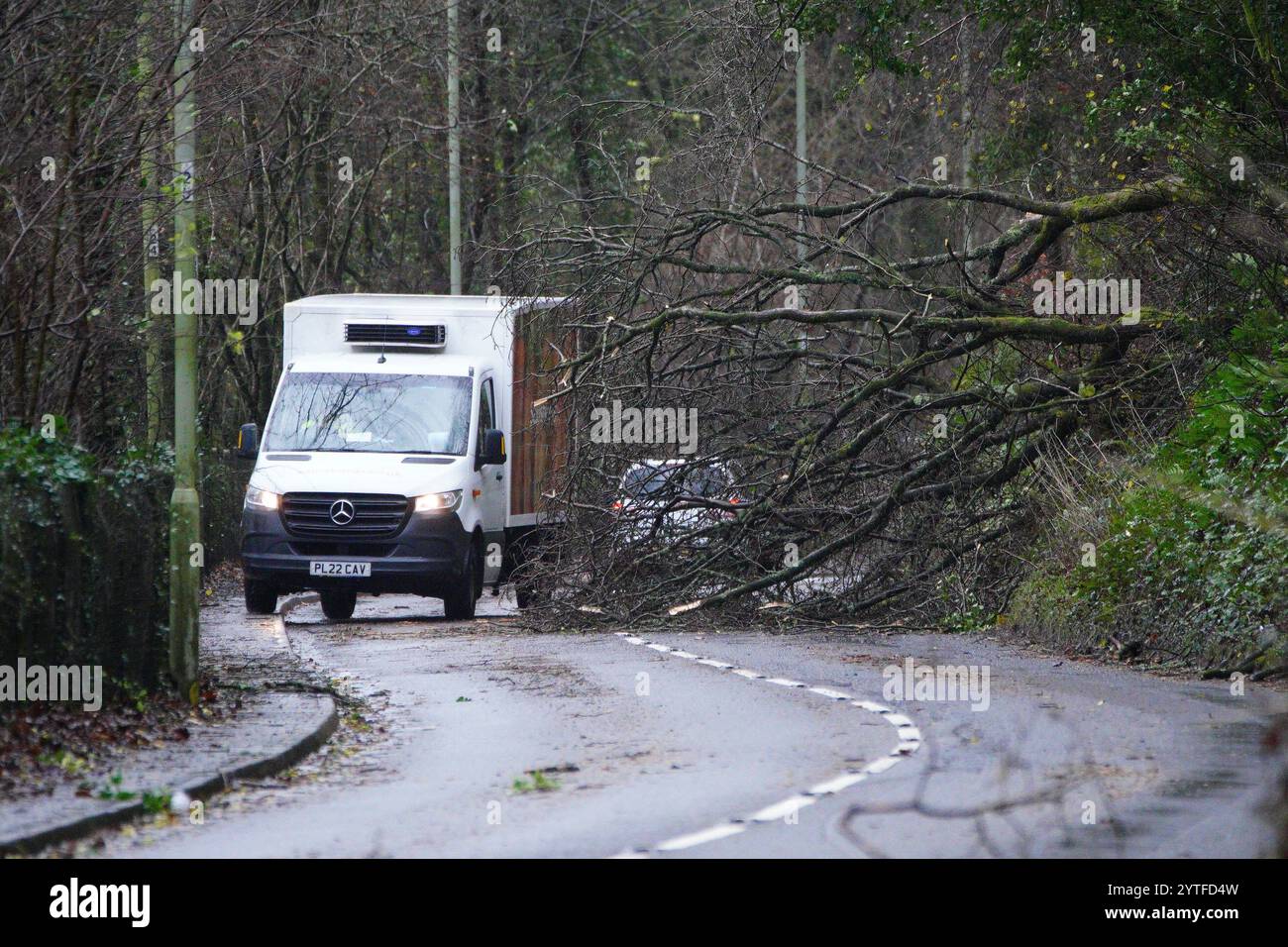 A fallen tree blocking a road on Llantwit road Pontypridd, Wales ...