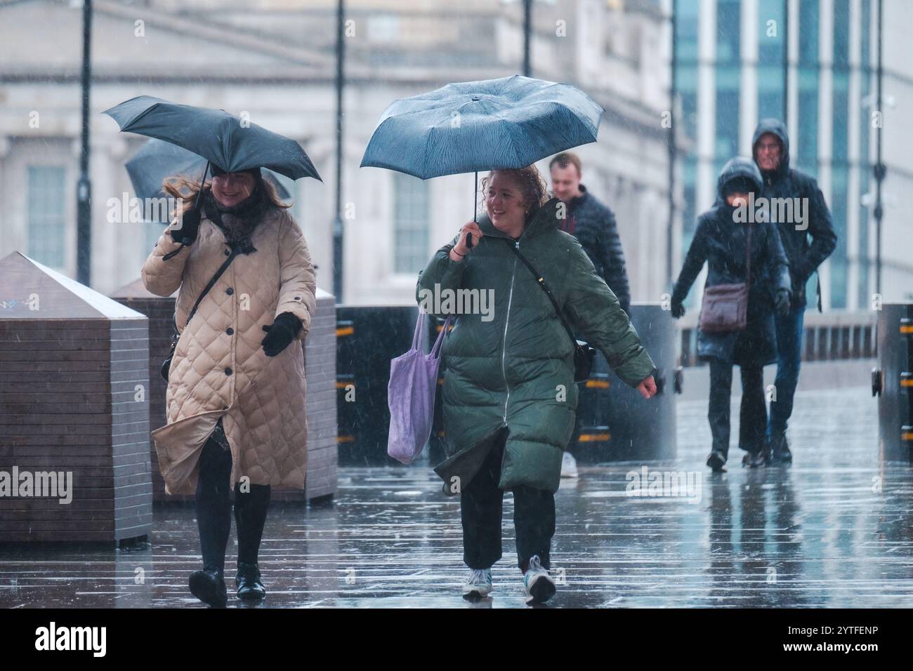Shelter tree lightning storm hi-res stock photography and images - Alamy