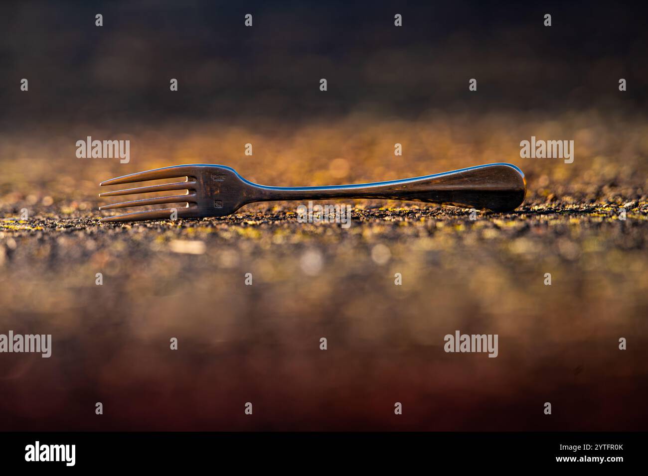 When you come to a fork in the road,TAKE ACTION!! Stock Photo - Alamy