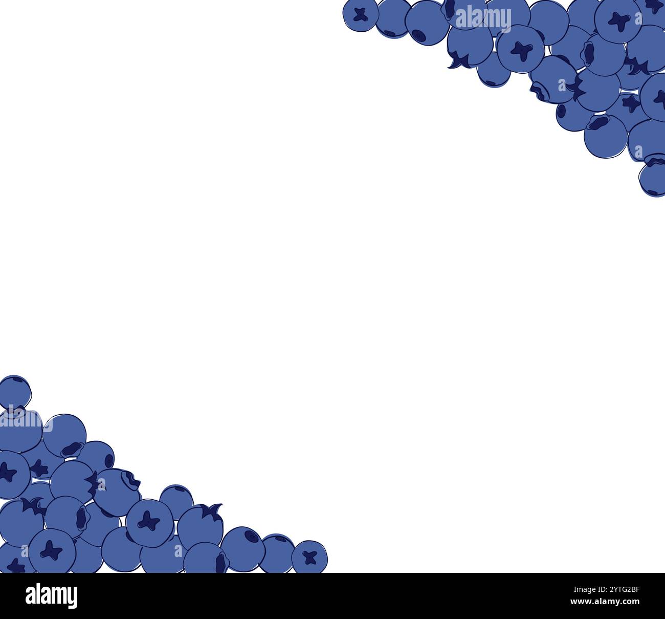 Blueberry berry branch in Cut Out Stock Images & Pictures - Alamy