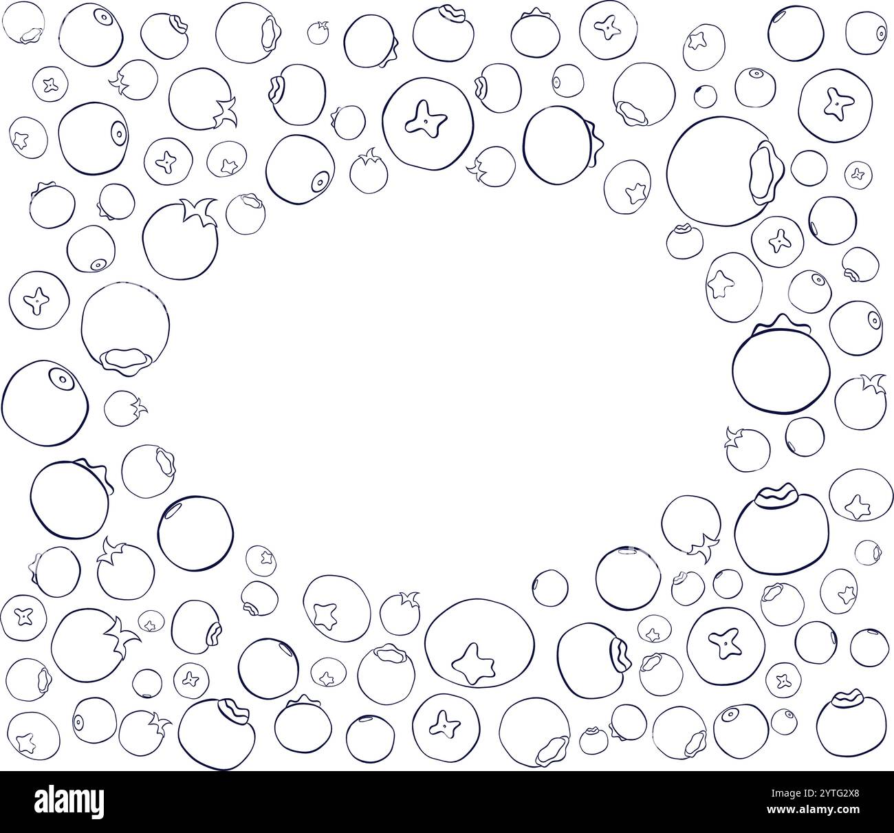 blueberry line vector drawing oval frame fruits concept. line draw ...