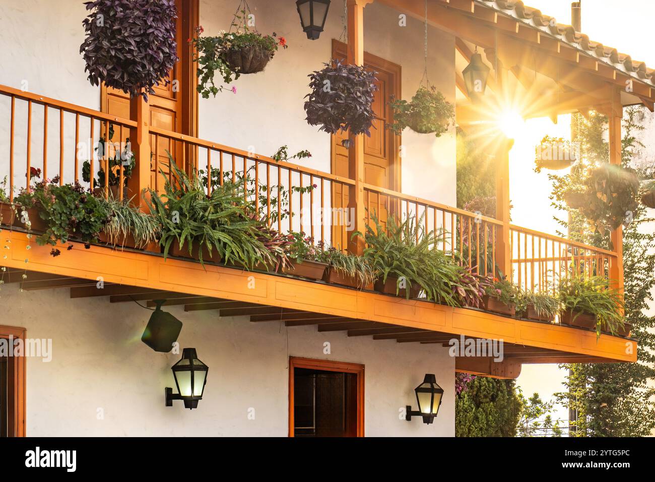A beautiful colonial style balcony with vibrant hanging plants ...