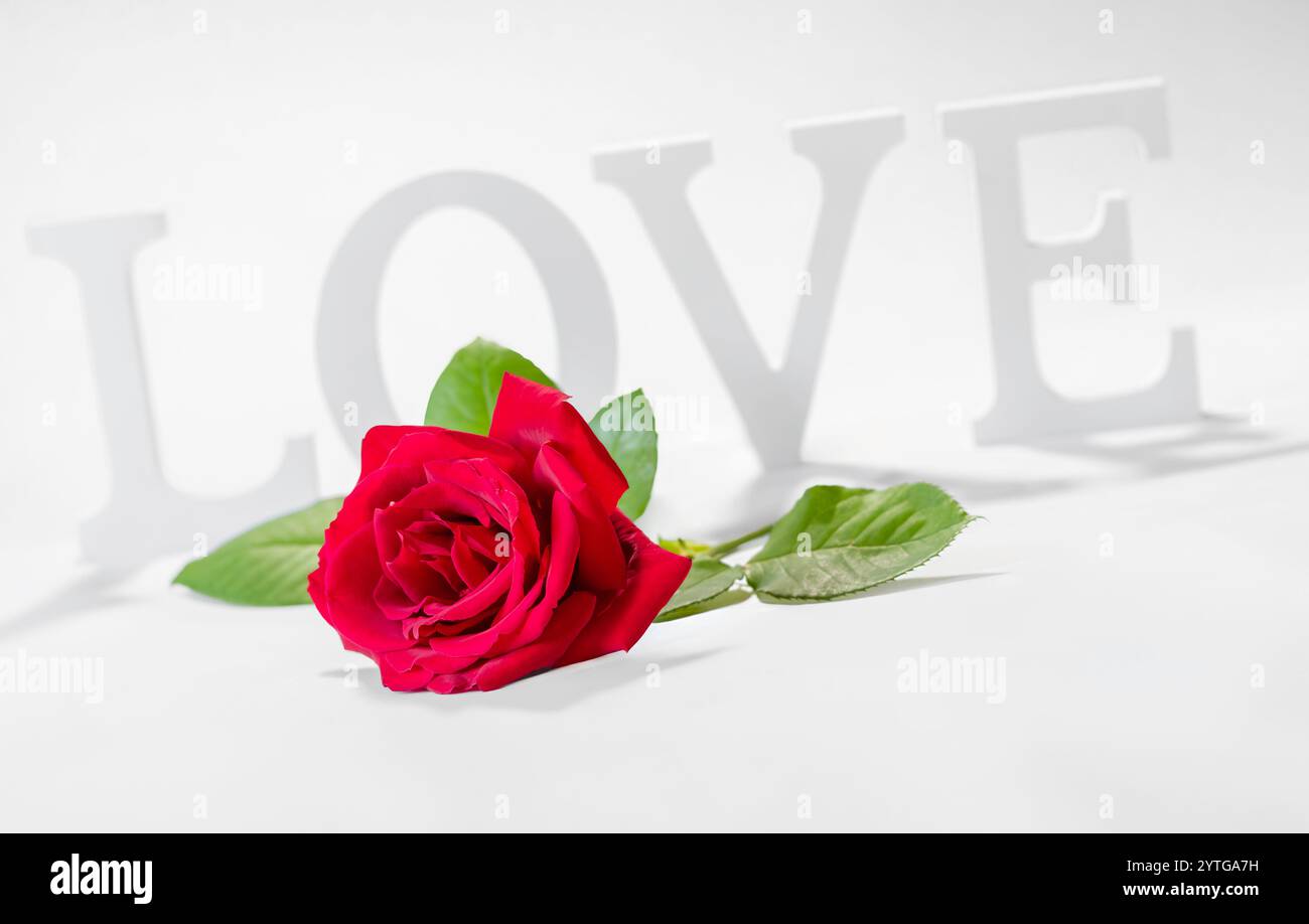 Love and Rose Stock Photo - Alamy