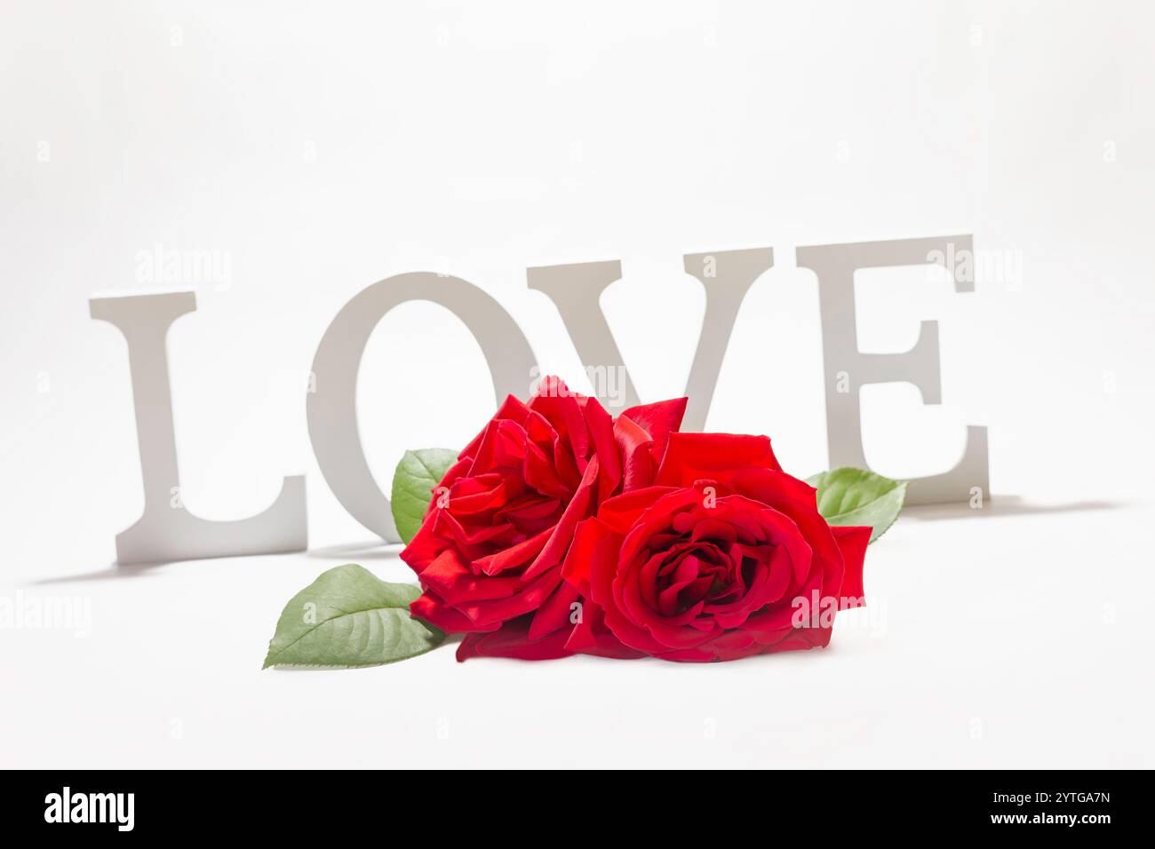 Couple roses hi-res stock photography and images - Alamy